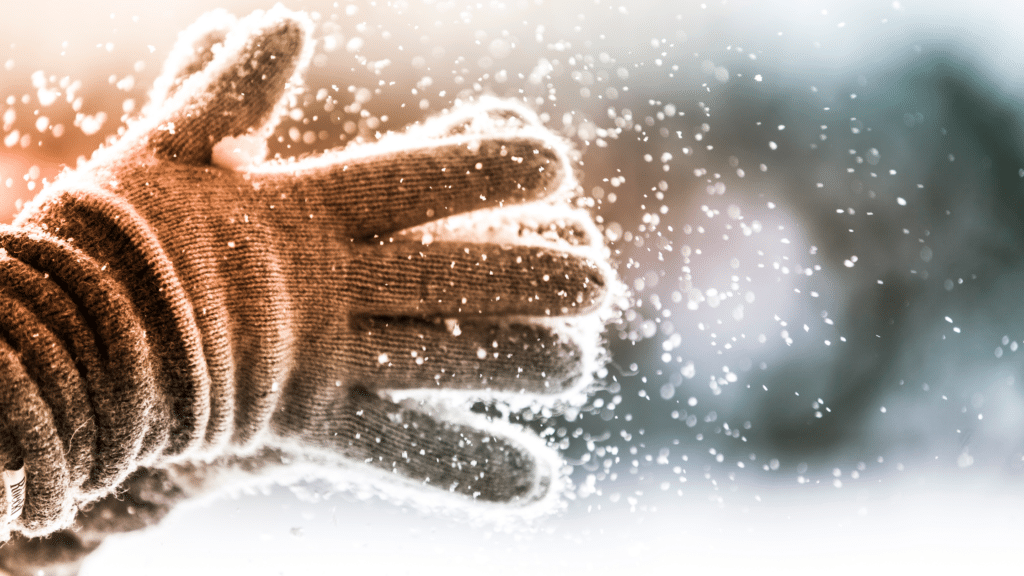 5 Ways to Turn a Season of Gloom into a Season of Bloom - Friends Life Care